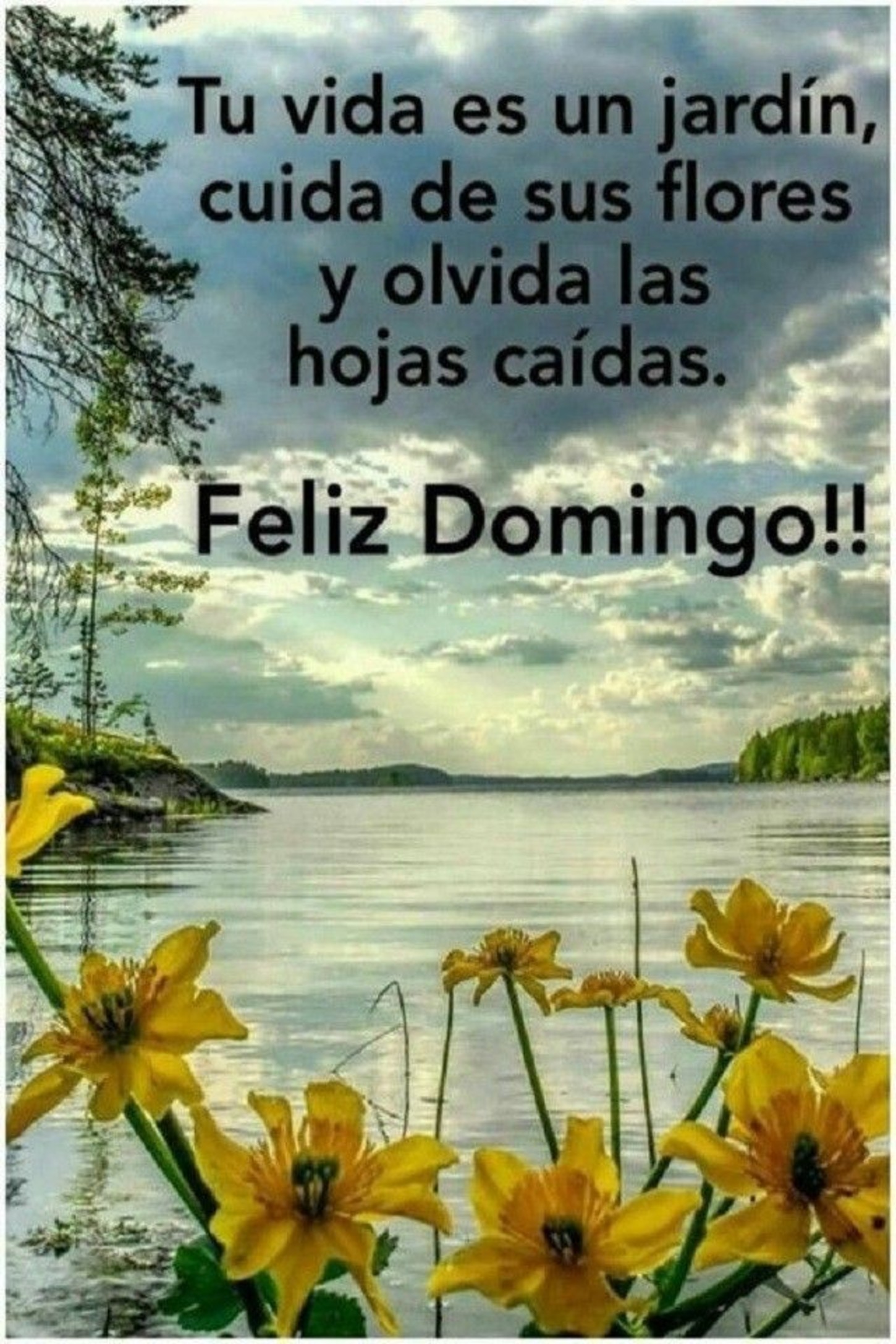 Feliz Domingo Para Todos