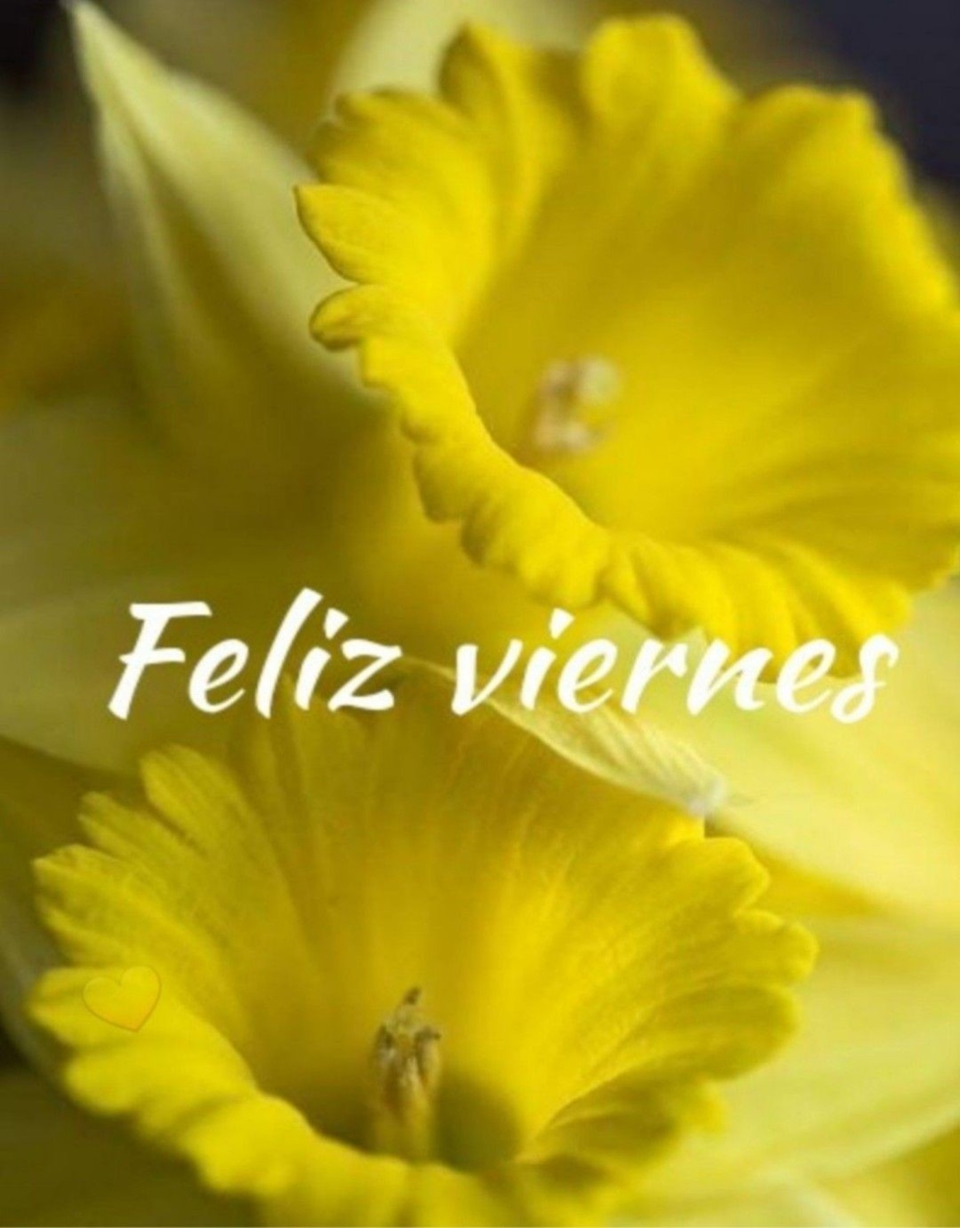 Buen Día Feliz Viernes 17 - BonitasImagenes.net