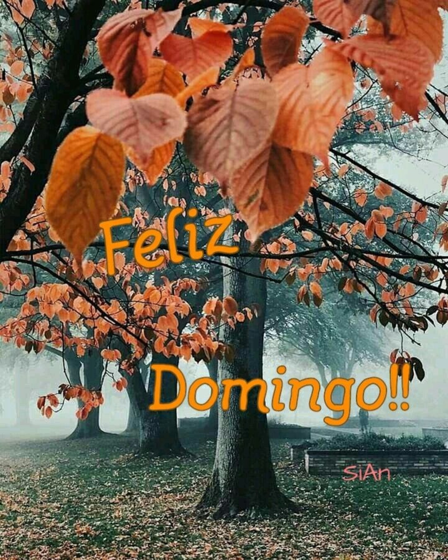 Feliz Domingo Otoño 3 - BonitasImagenes.net