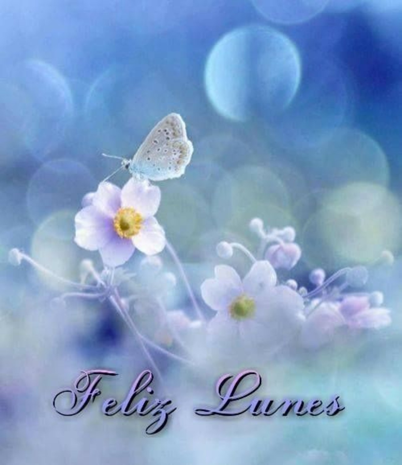 Imagenes De Feliz Lunes