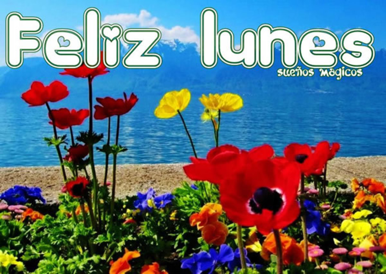 Feliz Lunes imágenes Pinterest WhatsApp - BonitasImagenes.net