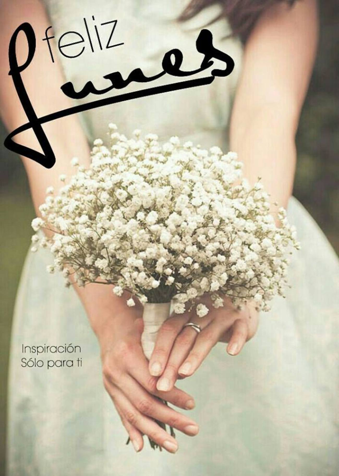 Feliz Lunes imágenes Pinterest WhatsApp 75 Archives - BonitasImagenes.net