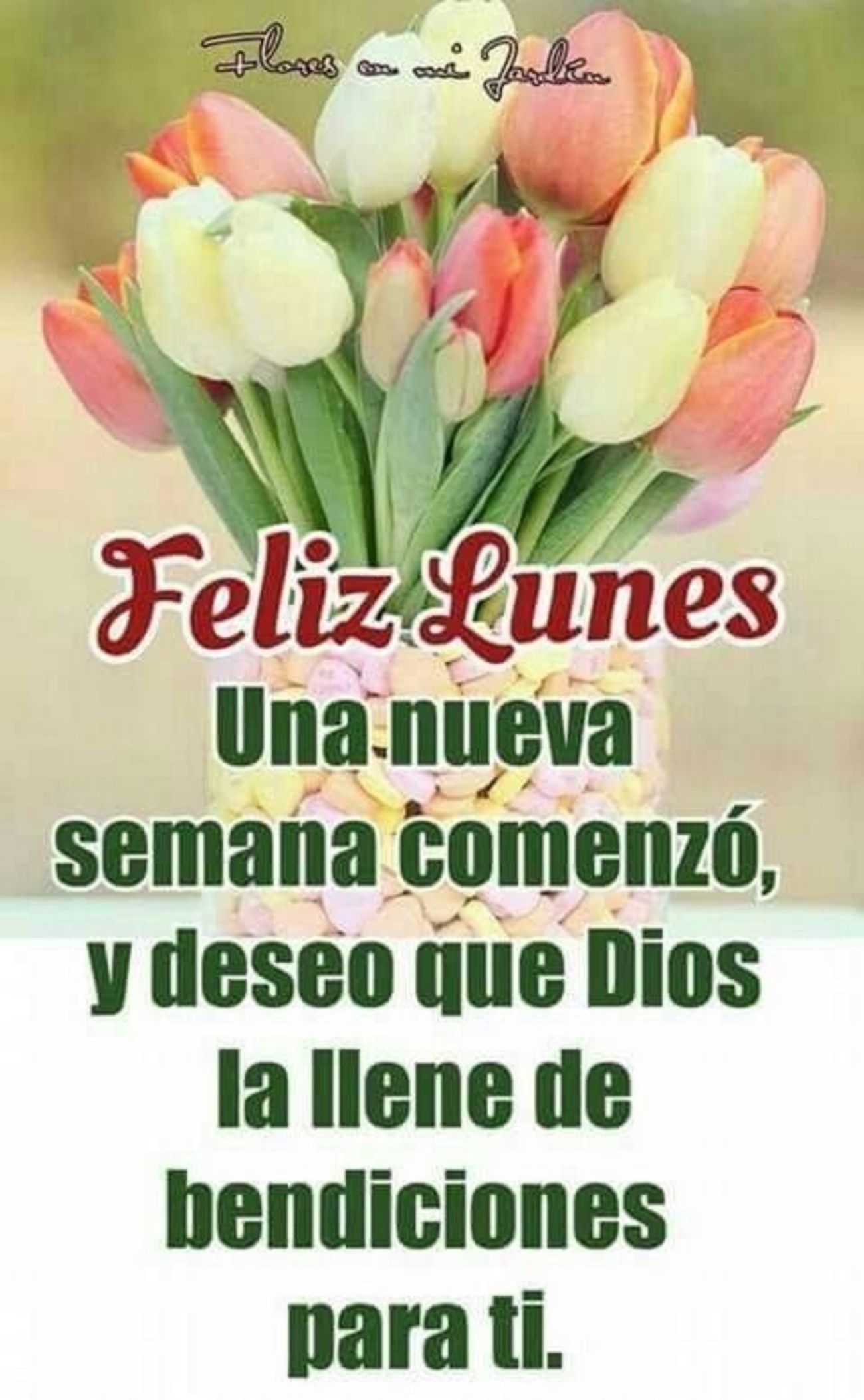 Feliz Lunes imágenes para WhatsApp - BonitasImagenes.net