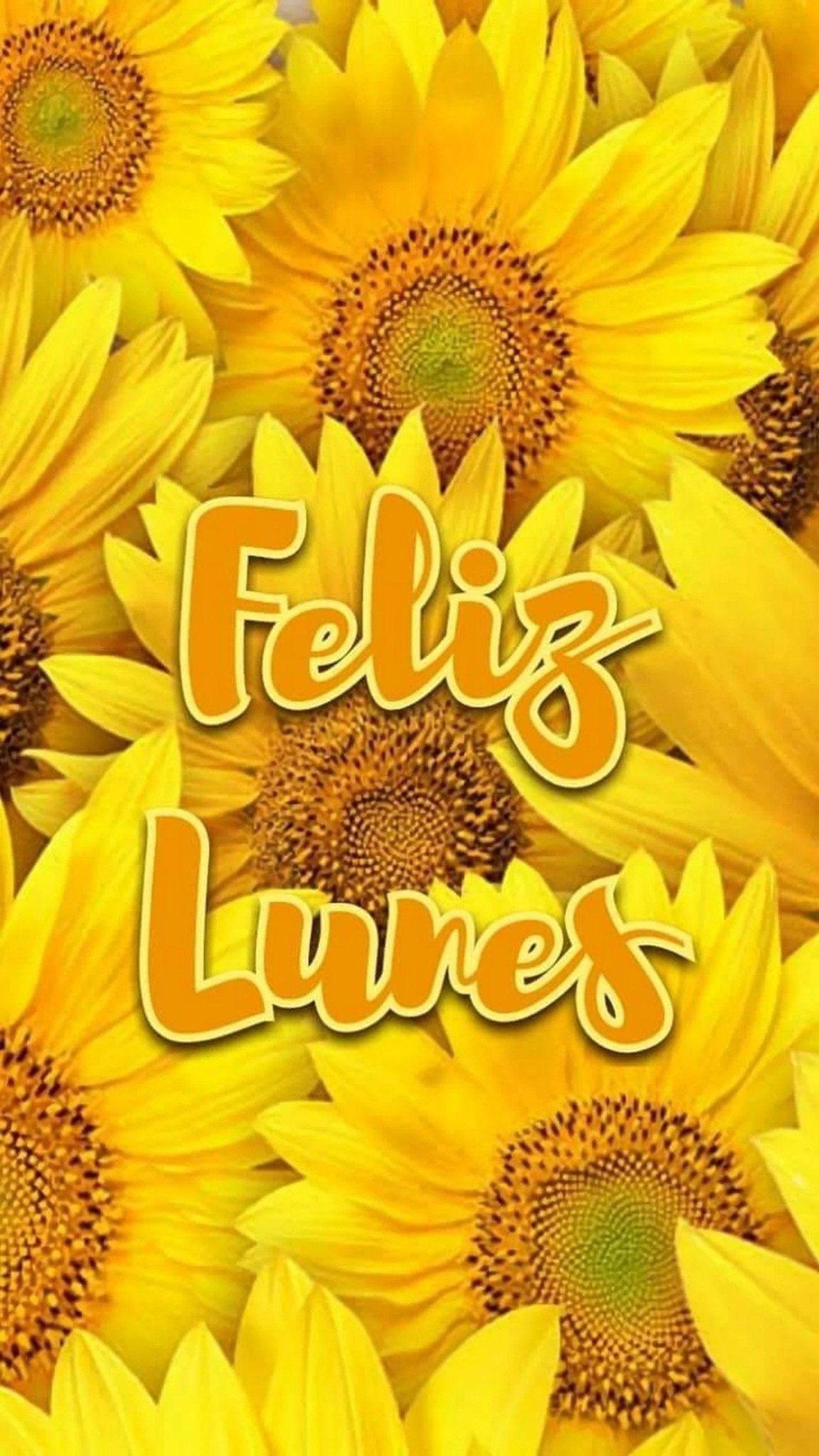 Feliz Lunes Im genes Para WhatsApp BonitasImagenes