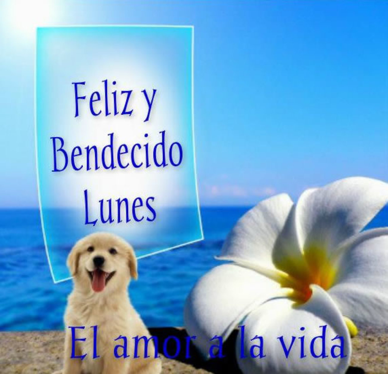 Feliz Lunes lindas imágenes - BonitasImagenes.net