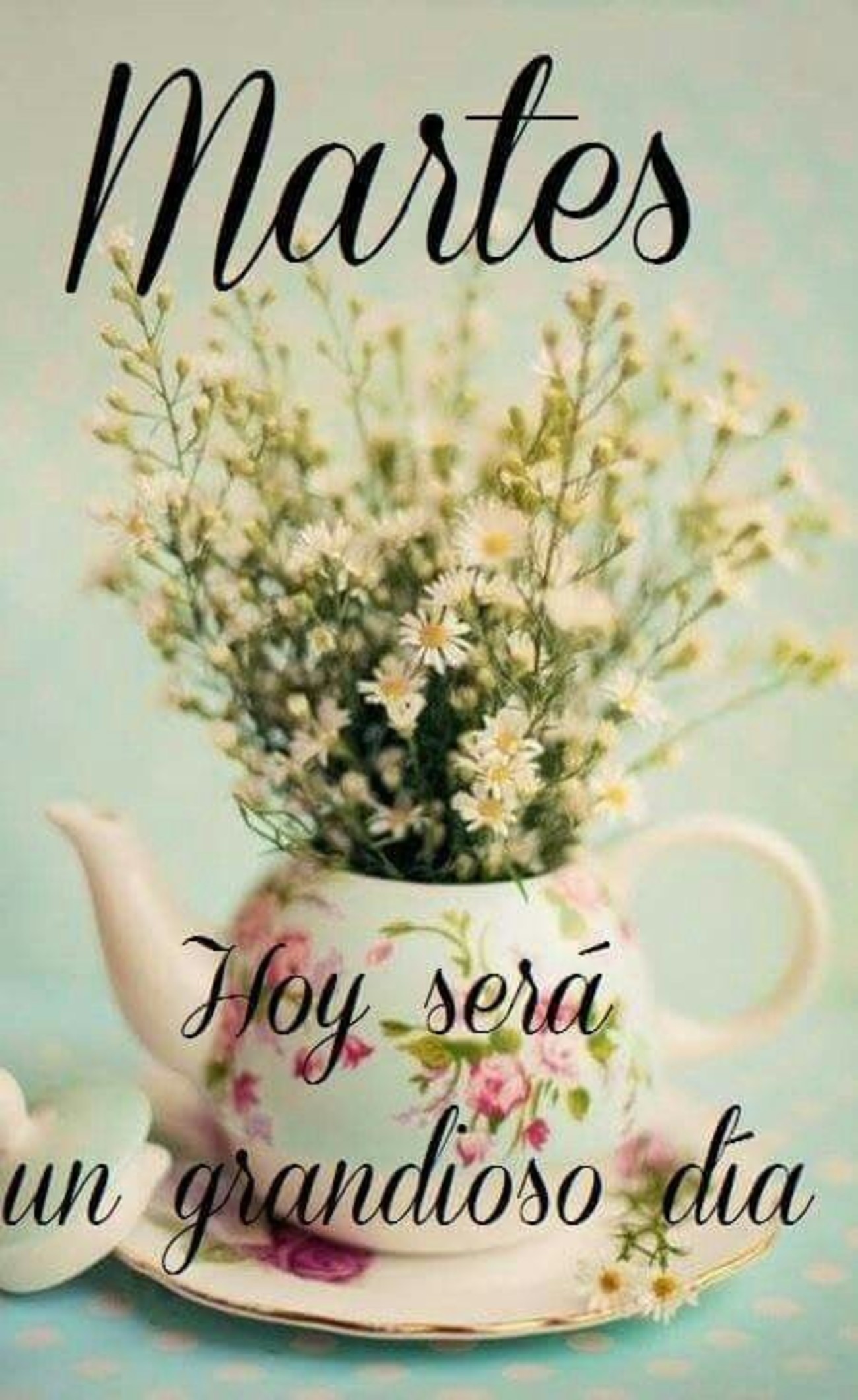 Feliz Martes imágenes bonitas - BonitasImagenes.net