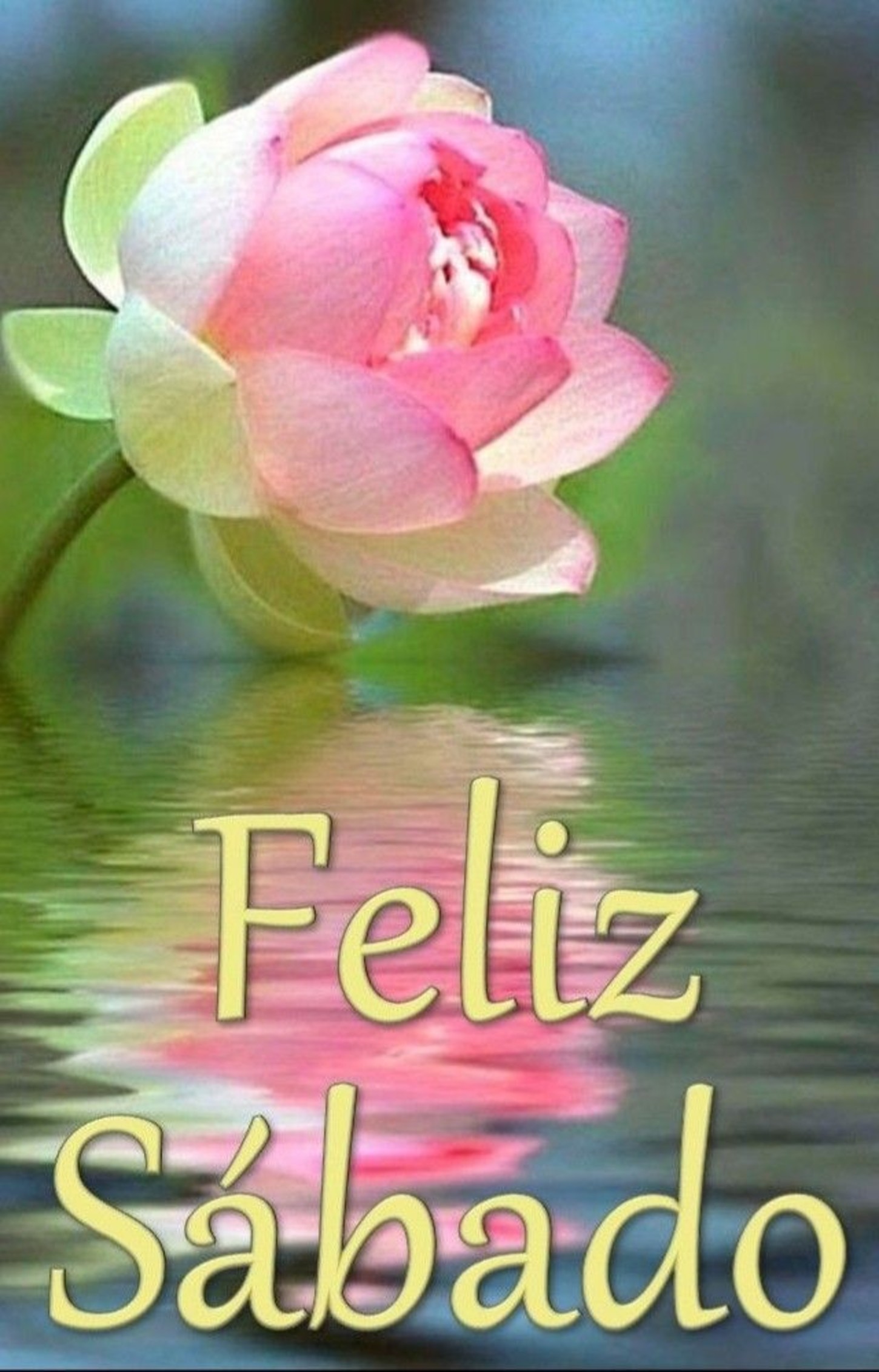 Feliz Sábado postales para enviar - BonitasImagenes.net