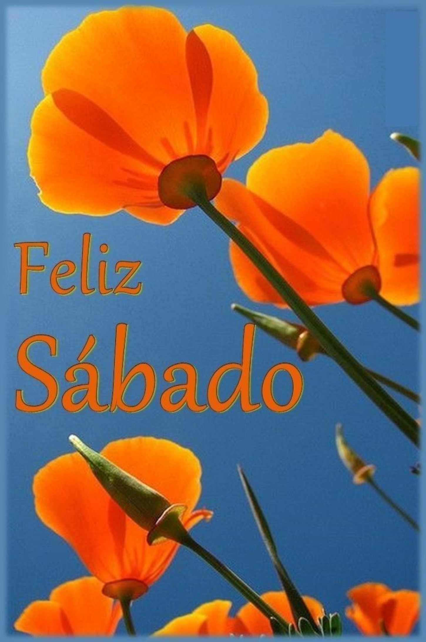 Feliz Sábado tarjetas WhatsApp 178 - BonitasImagenes.net