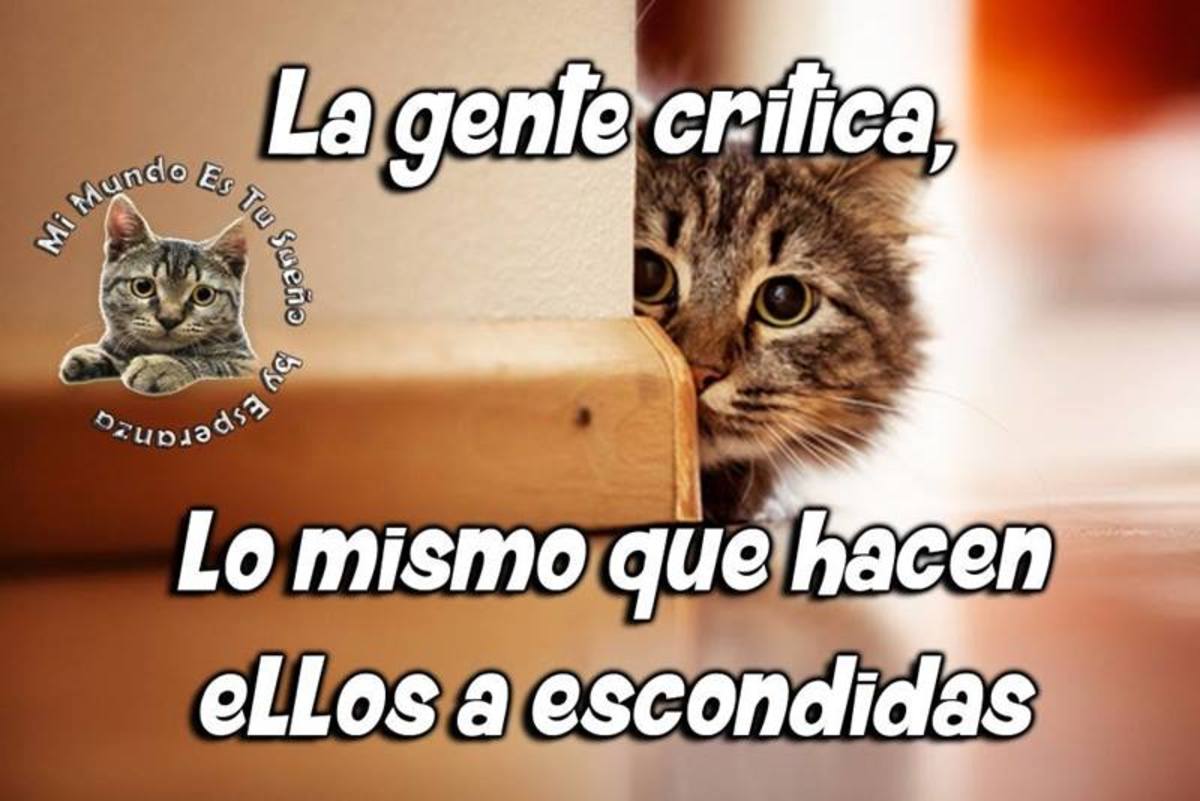 Imágenes con Frases hermosas para Pinterest 280 - BonitasImagenes.net