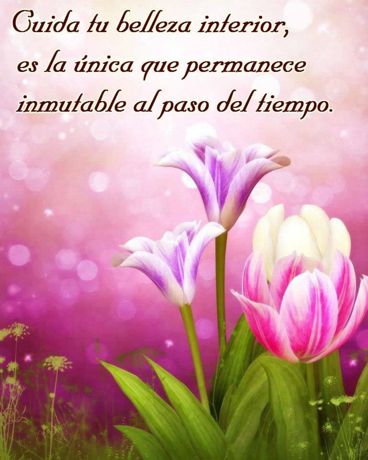 Imágenes con Reflexiones - BonitasImagenes.net
