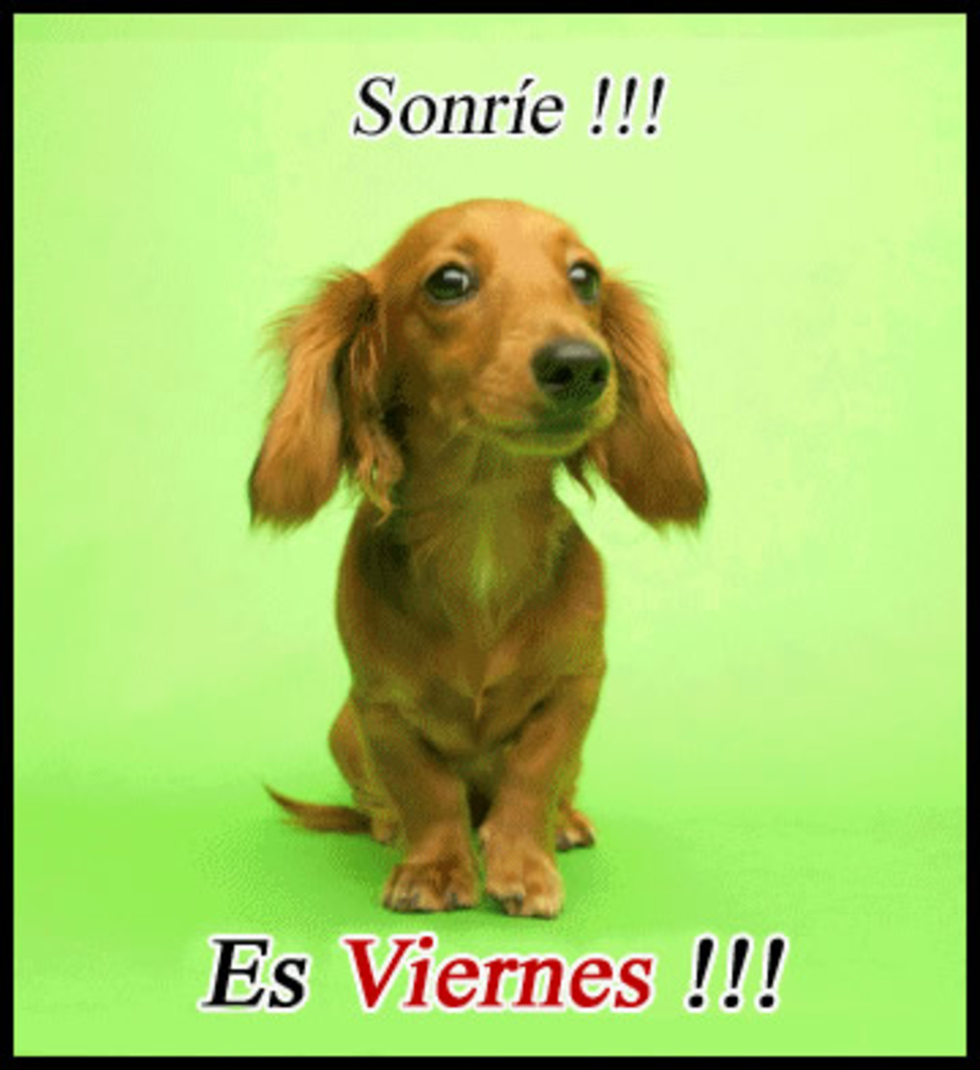 Imágenes hermosas para Feliz Viernes 214 - BonitasImagenes.net