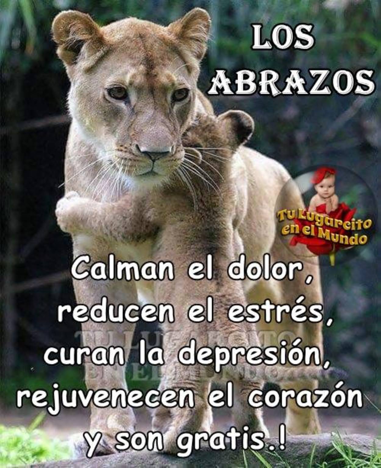 Imagenes De Abrazos Tiernos Para Descargar