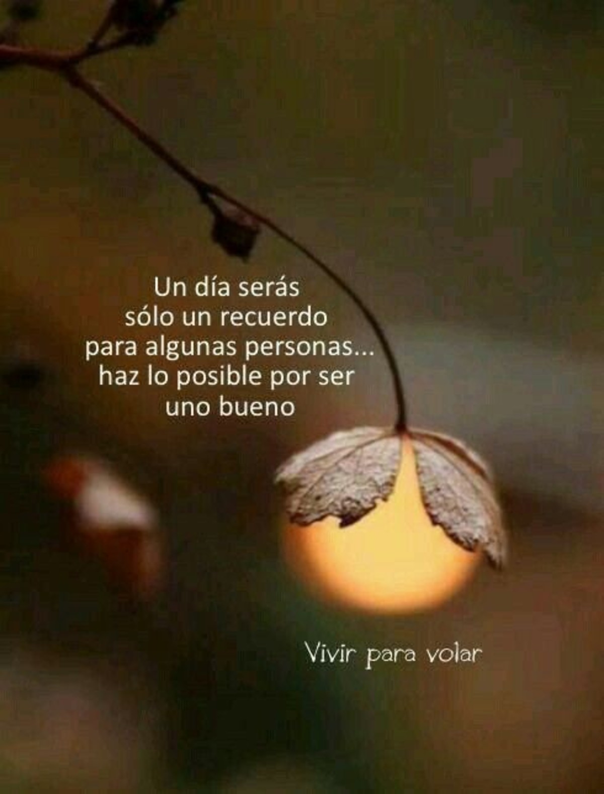 Lindas imágenes Frases - BonitasImagenes.net