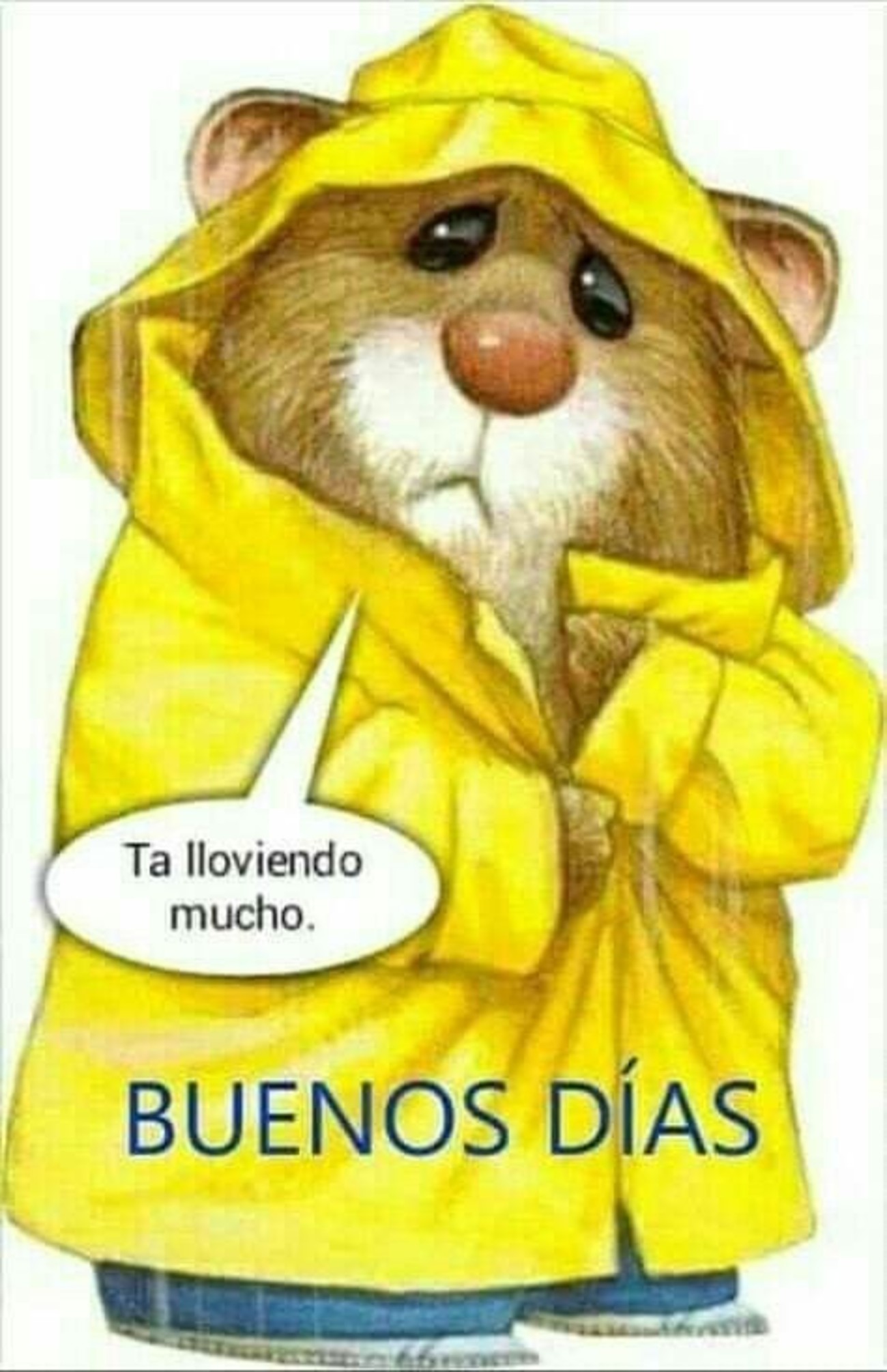 Ta lloviendo mucho Buenos Días 106 - BonitasImagenes.net